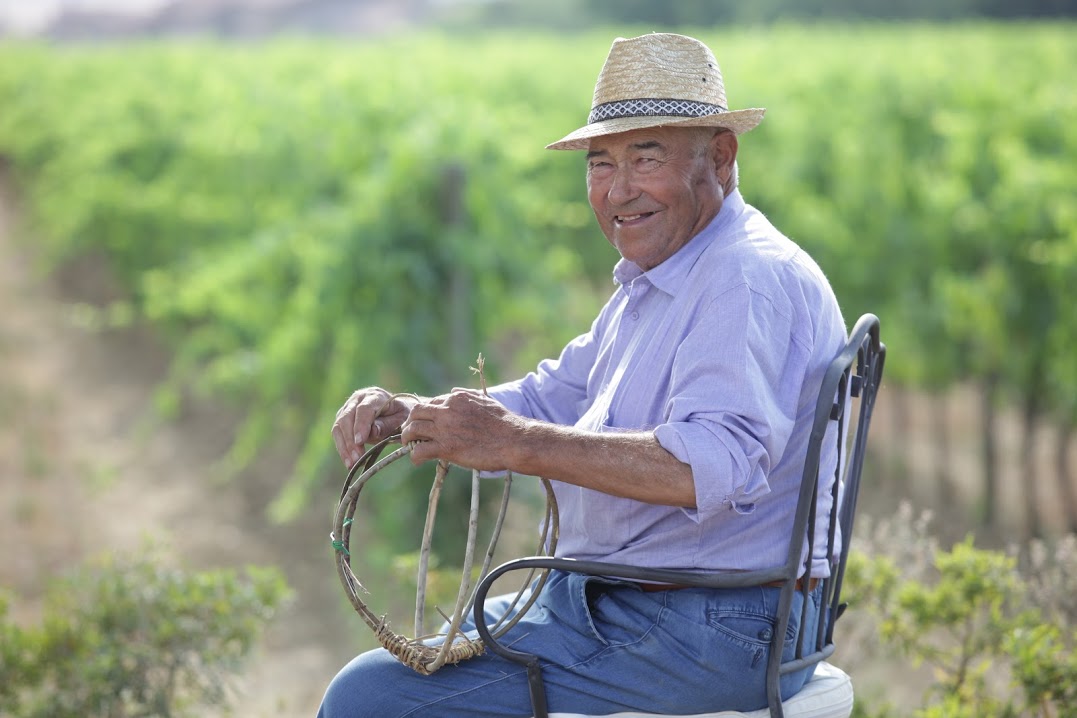 Caprili - Nel Solco della Tradizione - The Wine Page